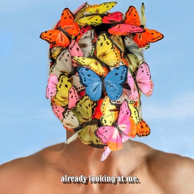 Already Looking At Me - Linkinpedia
