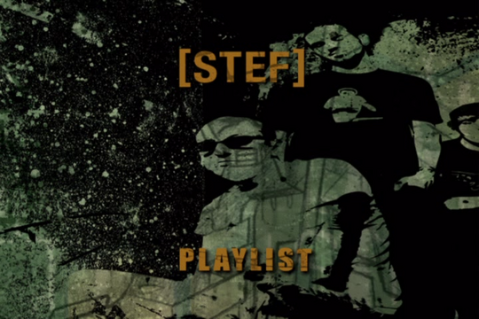 Stef - Linkinpedia